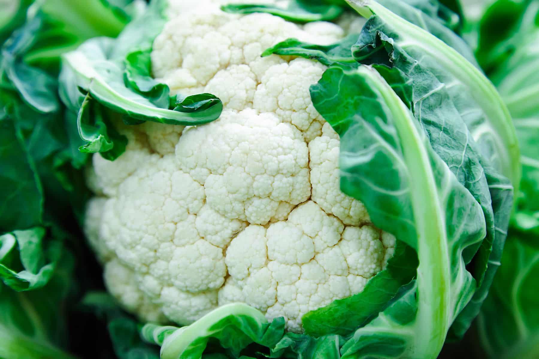 Cauliflower Seeds - OK Seeds