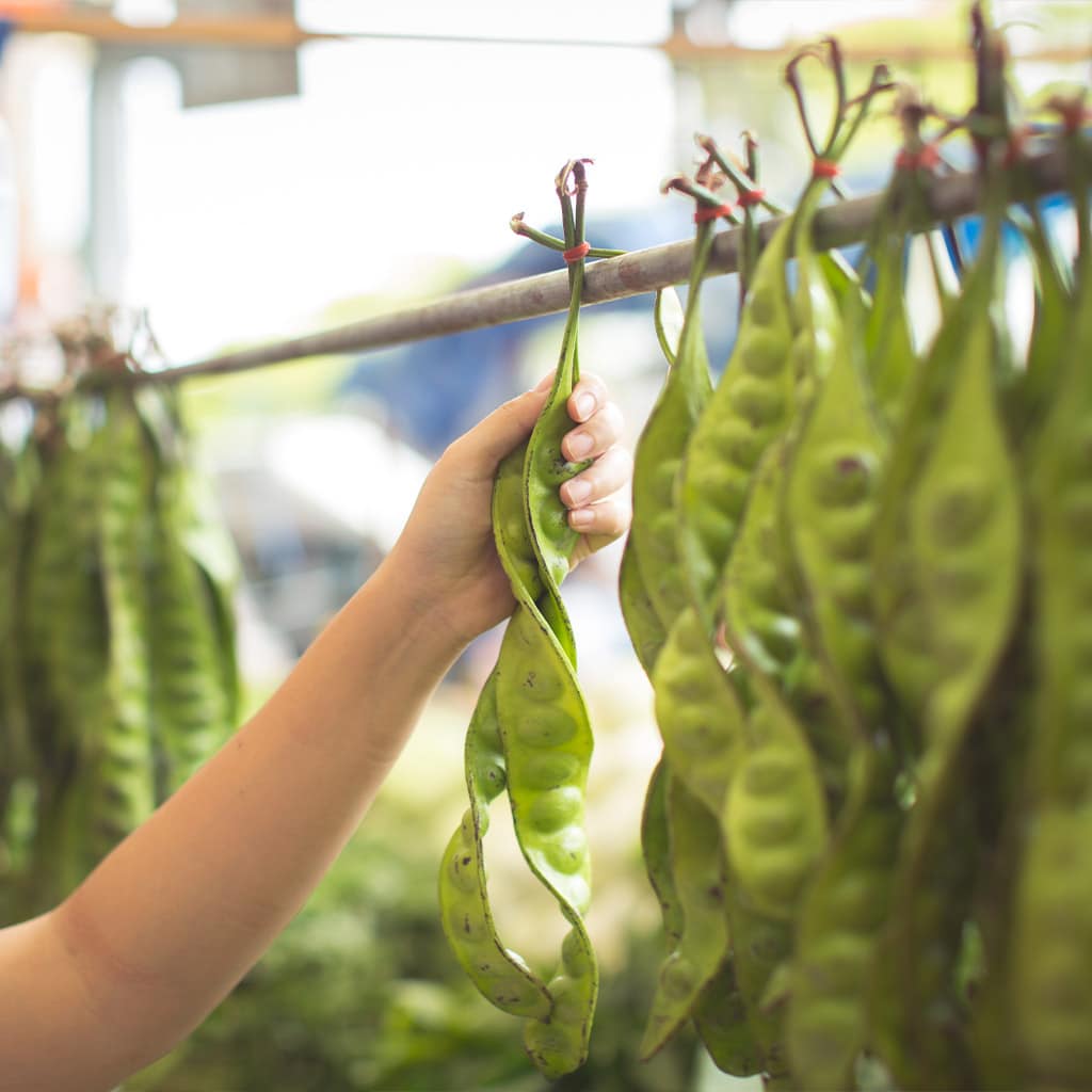 Growing legumes in South Florida: Beans and peas for a bountiful ...